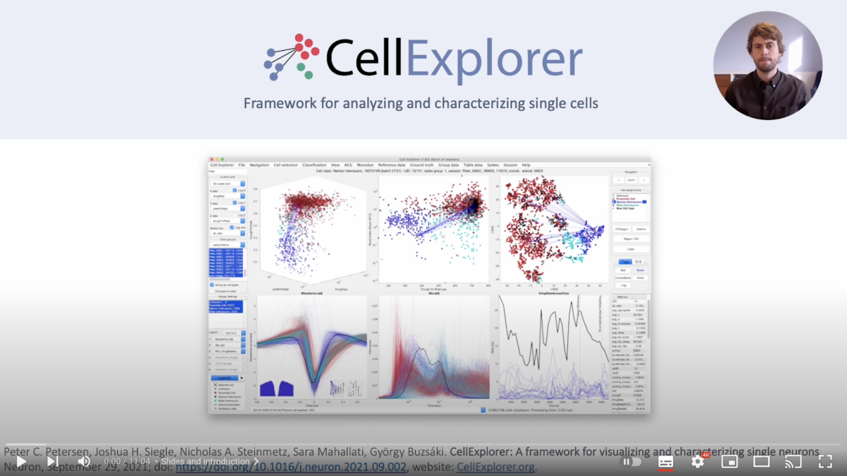 Petersen Lab - Systems Neuroscience at UCPH