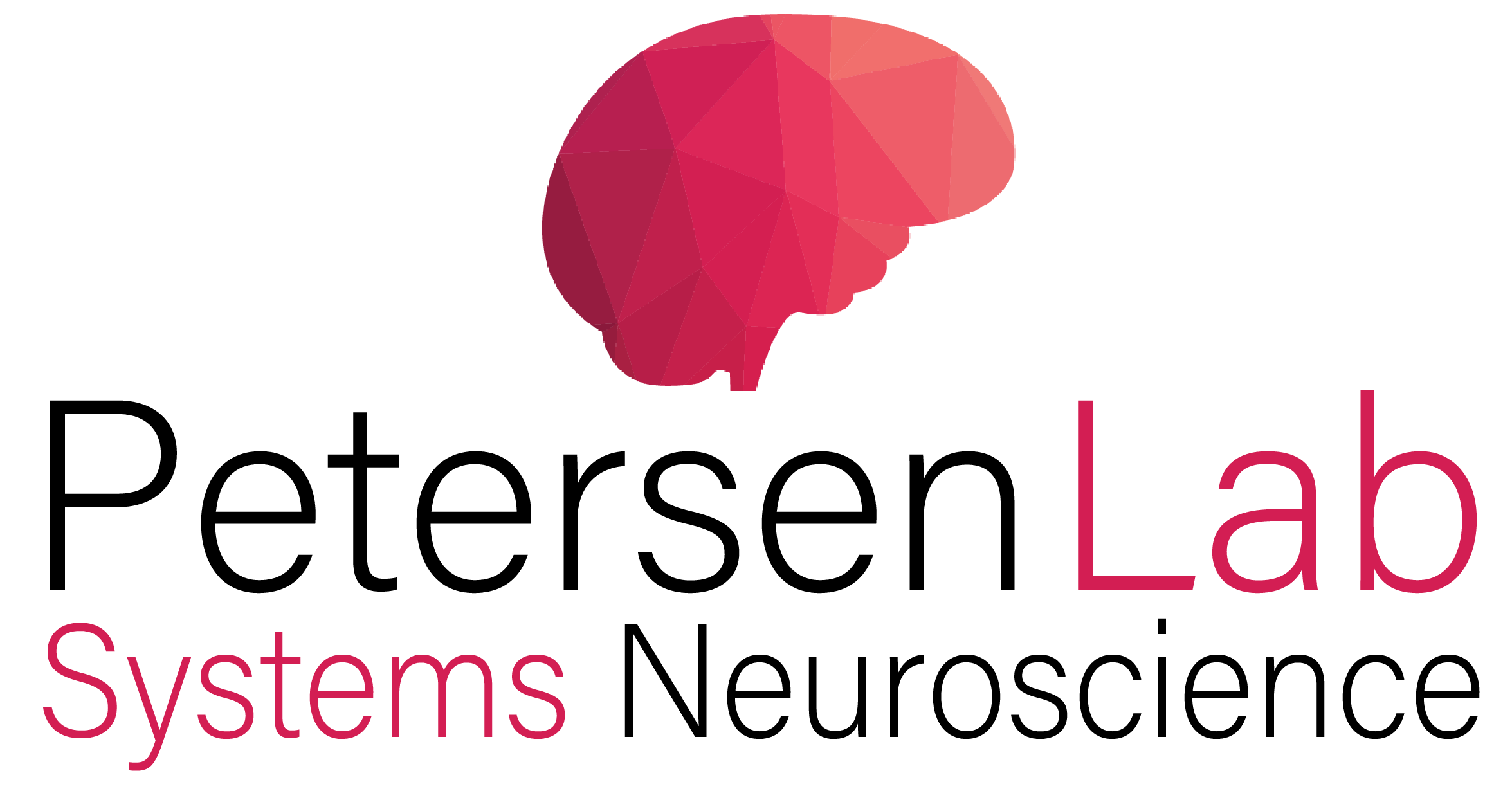 Open positions - Petersen Lab - Systems Neuroscience at UCPH